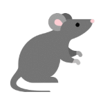 Partnership Opportunities at the ALS Drug Development Summit